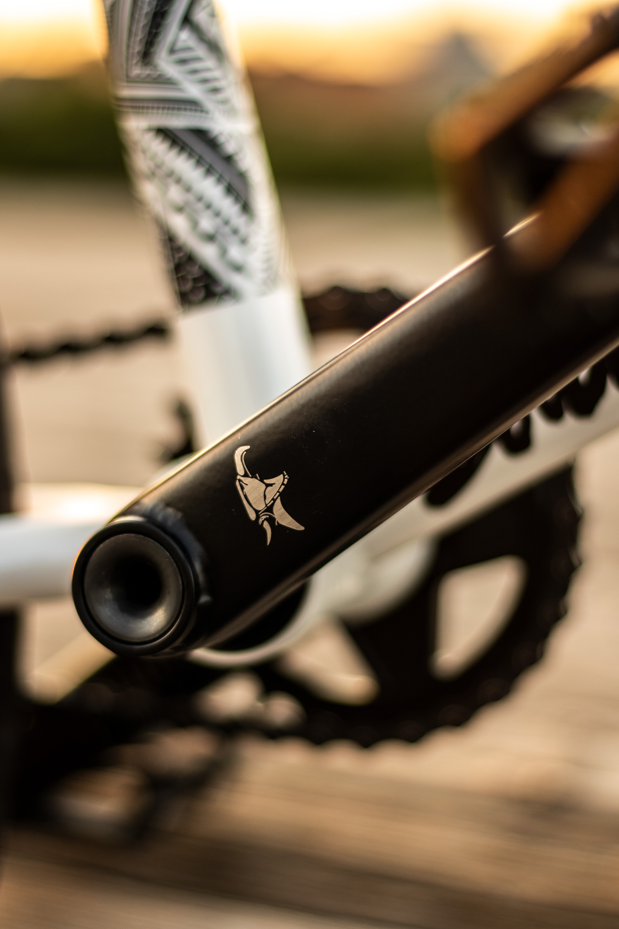 Animal Bmx Wallpaper