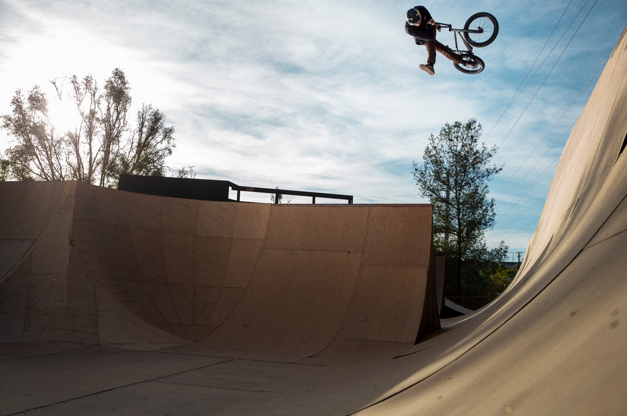 Vans – Dennis Enarson – Old Skool Pro BMX Shoe – Our BMX