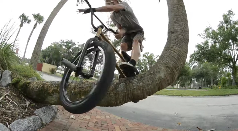 S&M – Dave Krone – Are You Mad? – Our BMX